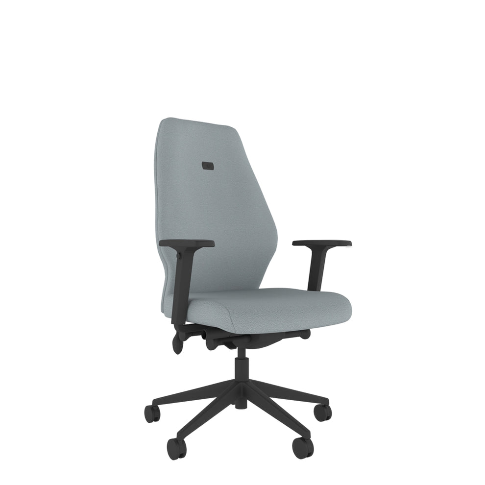 Insight Solo Ergonomic Posture Chair – Insight Ergonomics